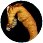 Relay Branch | Built to Accommodate