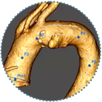 Relay Branch | Built to Accommodate