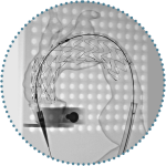 Relay Branch | Built to Accommodate