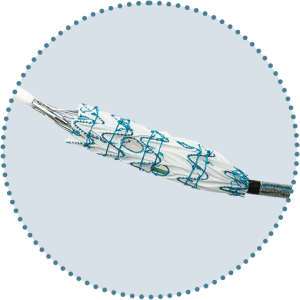 Fenestrated TREO® | Terumo Aortic