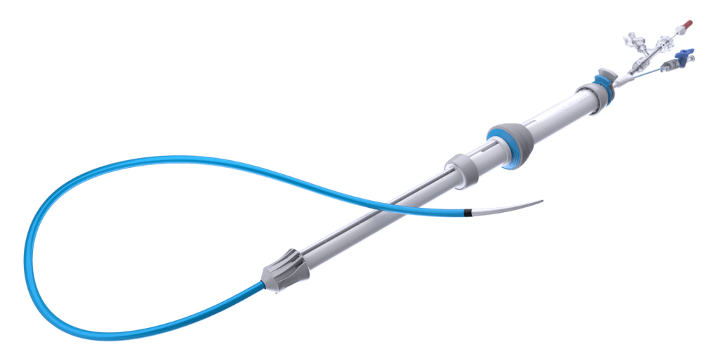 Products | Terumo Aortic