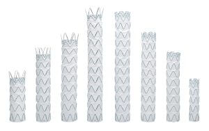 Relay®Pro | Terumo Aortic