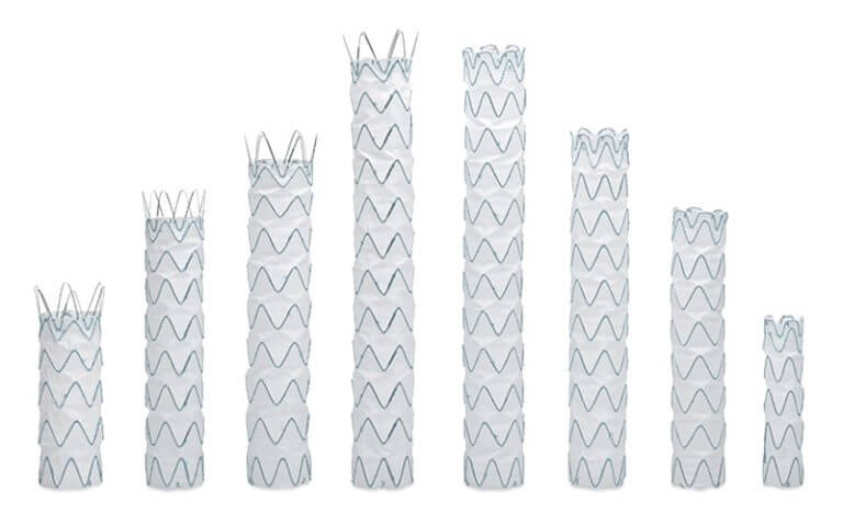 Relay®Pro | Terumo Aortic