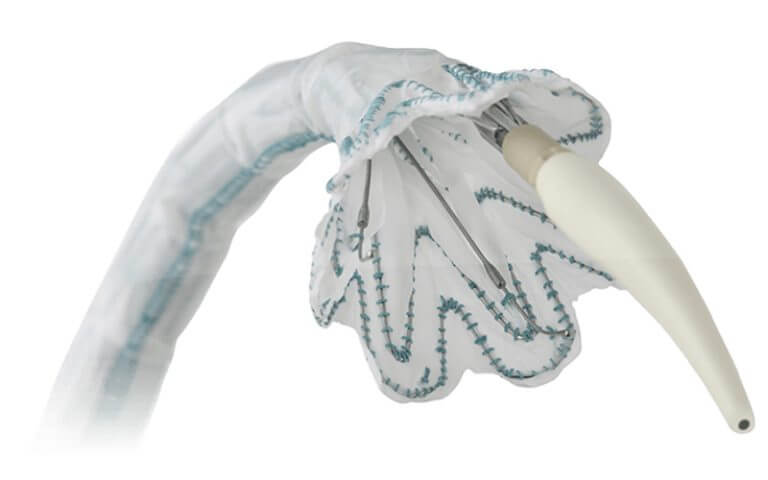 Relay®Pro | Terumo Aortic