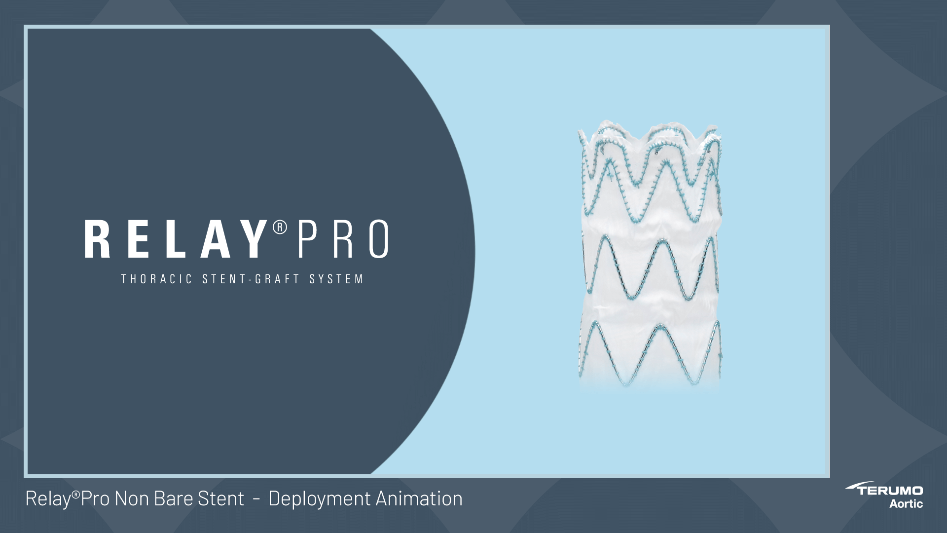 RelayPro NBS - Deployment Animation | Terumo Aortic