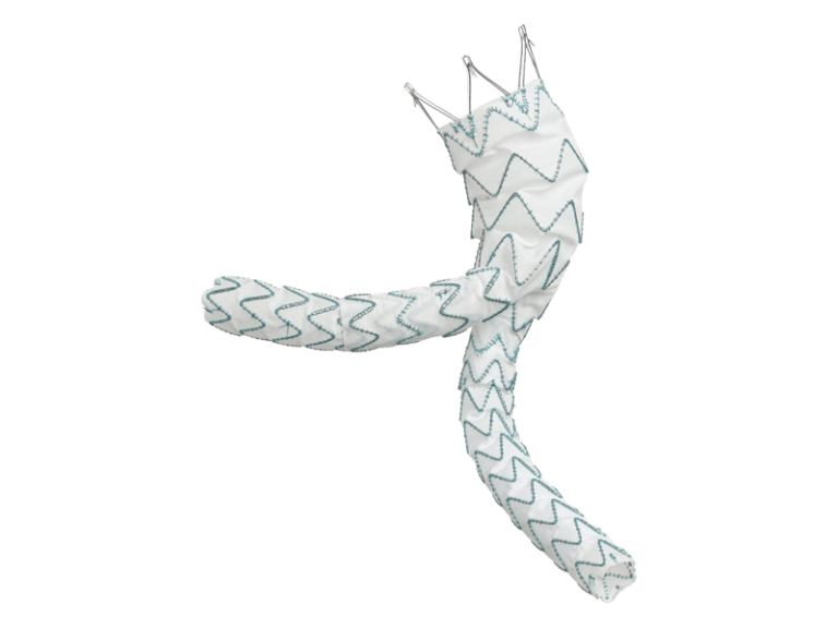 TREO® | Terumo Aortic