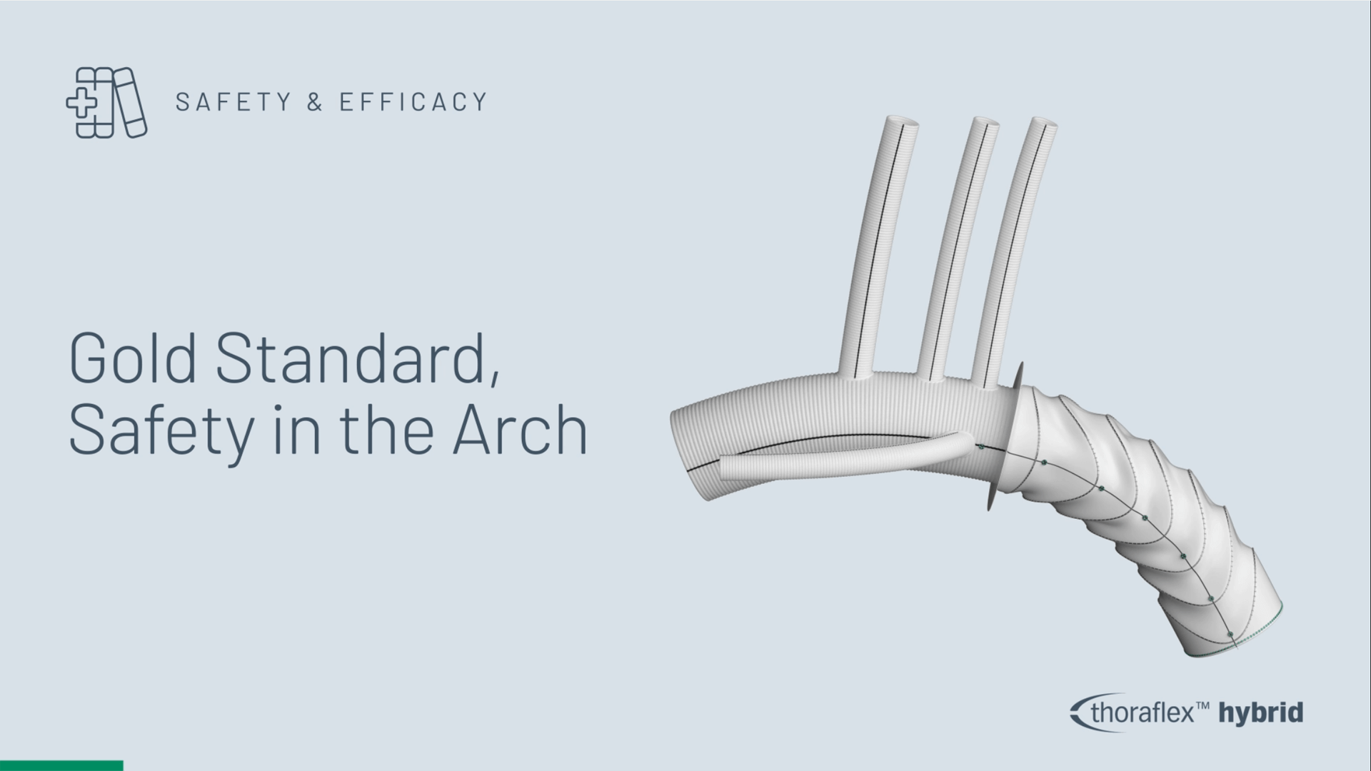Thoraflex Hybrid - Safety & Efficacy - Video - PM-07517 - Global ...