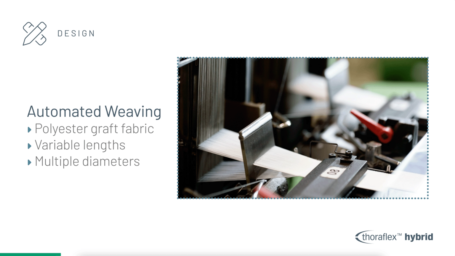 Aortic Care | Terumo Aortic