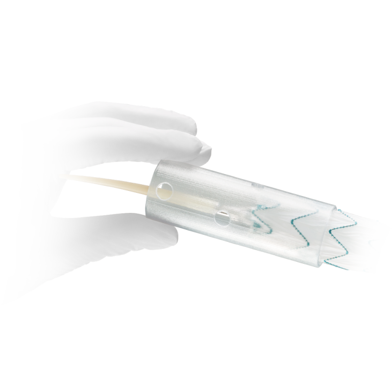 Aortic Repair Solutions | Terumo Aortic