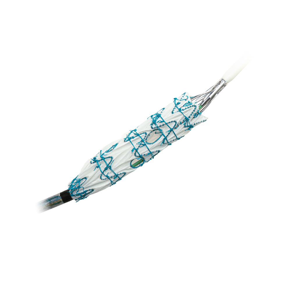 Terumo Aortic announces US FDA Breakthrough Device Designation for ...